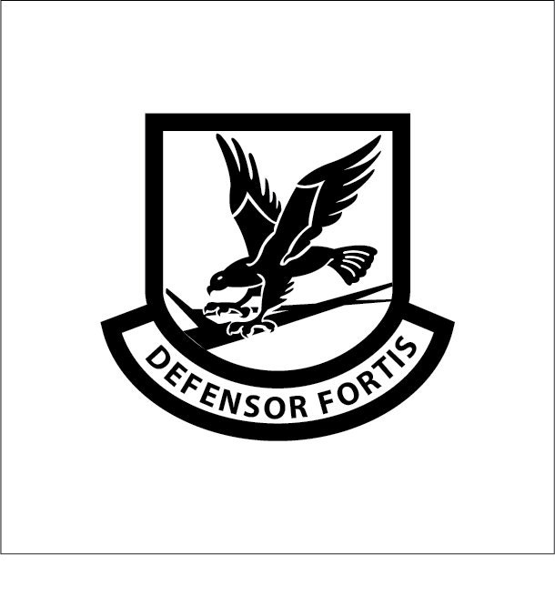 Air Force Security forces defensor fortis vinyl car decal