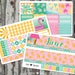 June Monthly Planner Sticker Kit Monthly Calendar Stickers