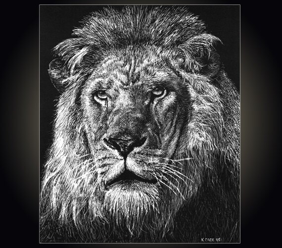 Items similar to Lithograph print "Lion" A pen and ink on scratchboard ...