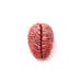 Ceramic Brain Sculpture Desk accessory Anatomy sculpture