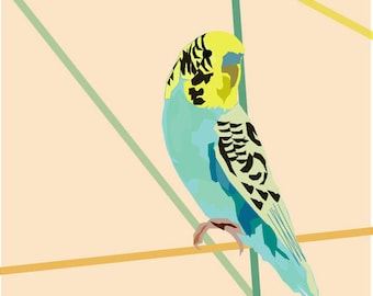 Budgie art | Etsy