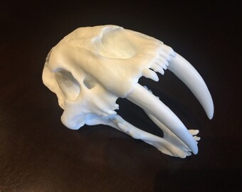 Anthro Tribal Saber Tooth Tiger Print