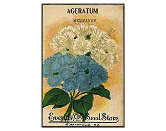 Seed packet sticker | Etsy