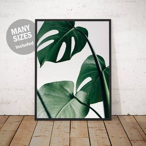 Monstera print | Etsy