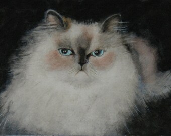 Himalayan cat art | Etsy