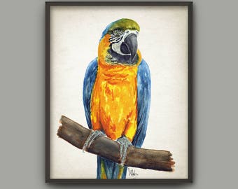 Parrot painting | Etsy