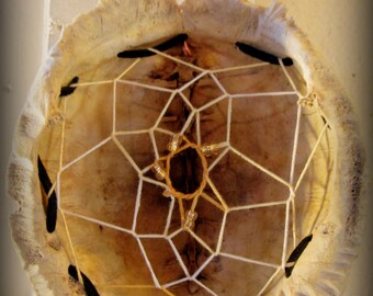 Turtle dreamcatcher | Etsy