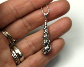 Multipack 1.53 fossil turritella shell castings