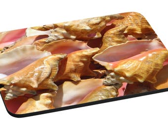 Conch shells | Etsy