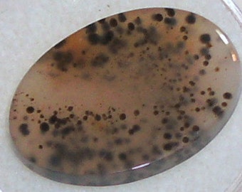 Montana Moss Agate Nice Scenic Color Clean and Clear 28mm x