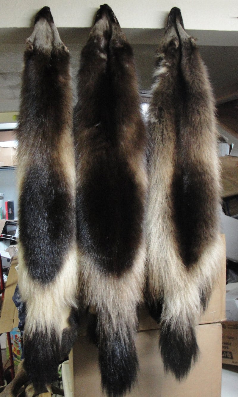 Wolverine Pelt