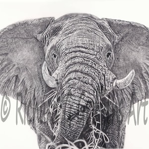 Elephant drawing | Etsy