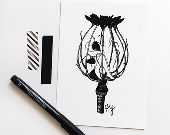 Poppy drawing | Etsy