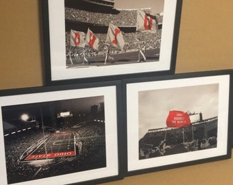 Ohio state buckeyes | Etsy