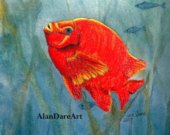 Garibaldi fish | Etsy