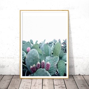 Cactus poster | Etsy