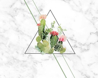 Watercolor Cactus Hedgehog PNGJPG