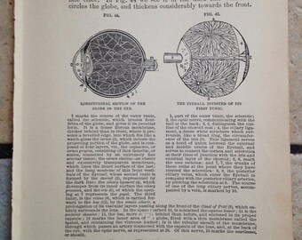 Vintage eye chart | Etsy