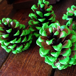 Painted pine cones | Etsy