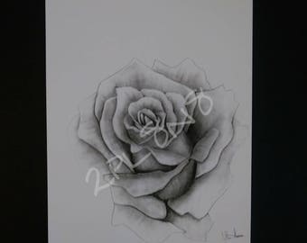 Pencil drawing print Growing Into Hope Day 199