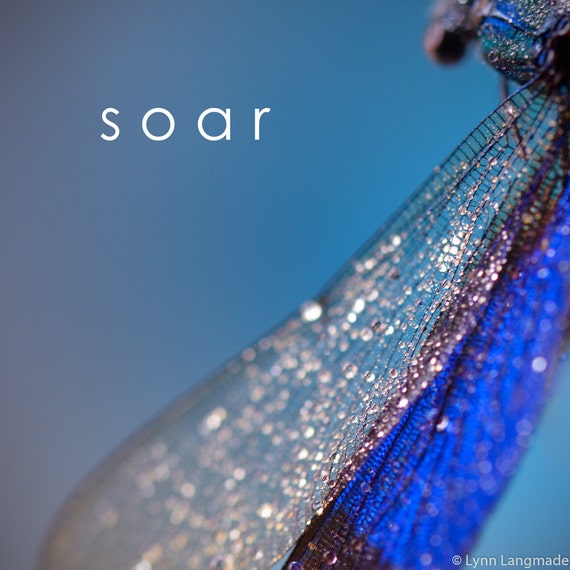 Nursery Word Art dragonfly soar nursery quote 8x8 baby