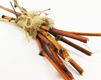 Ogham set supplies wood sticks branches twigs natural alder