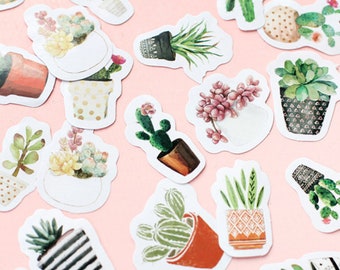 Cactus stickers | Etsy