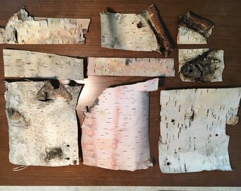 Birch bark | Etsy