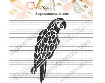 Parrot stencil | Etsy