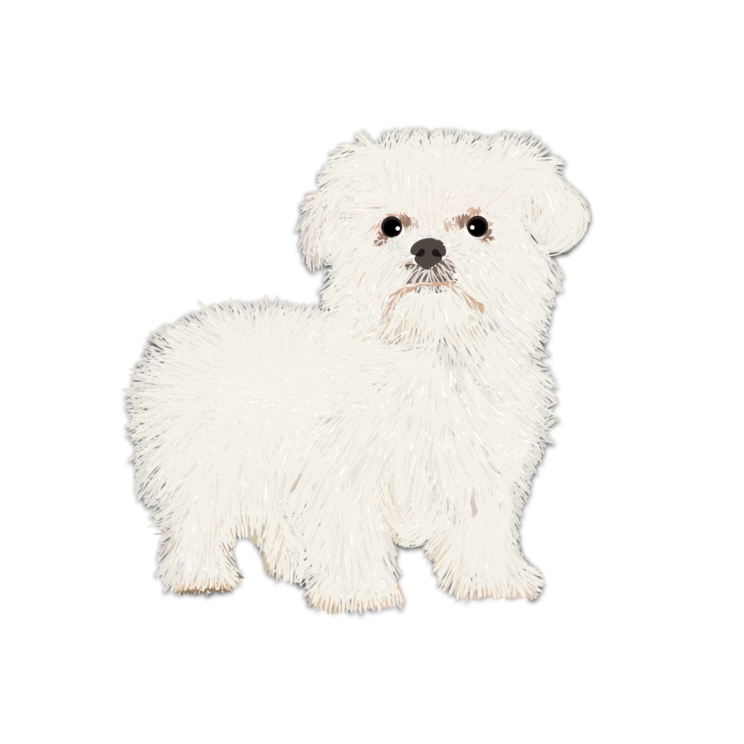Maltese Clip Art Clipart Maltese Clip Art Maltese Maltese