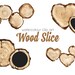 Wooden Slices Clip Art Tree Slice Clip Art