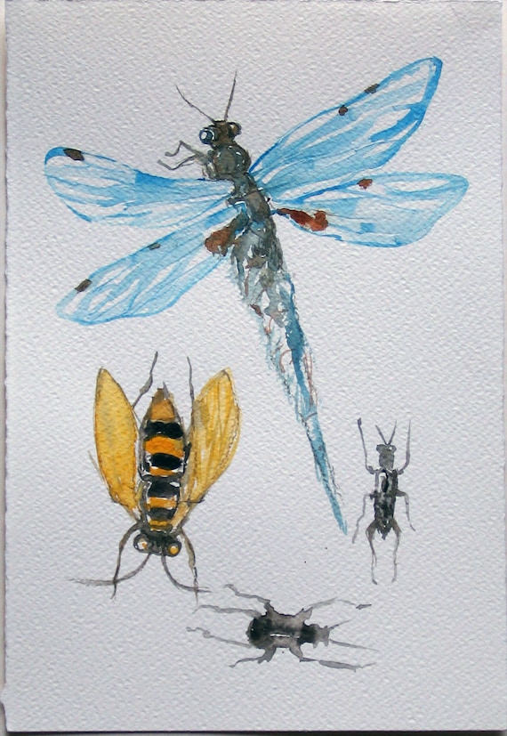 Dragonfly watercolor painting. Insect painting. Nature
