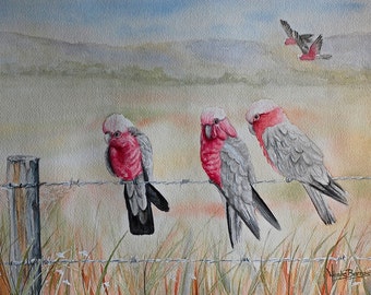 Galah painting | Etsy