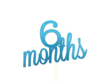 6 months birthday | Etsy