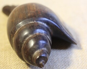 Carved sea shell | Etsy