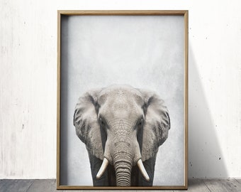 Elephant poster | Etsy