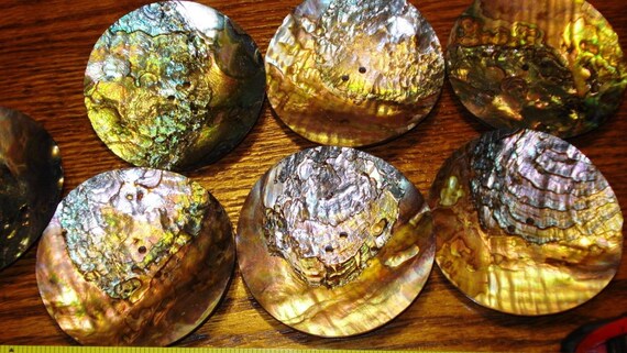 3'' Large Abalone shell Disc