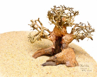 Dragon tree | Etsy