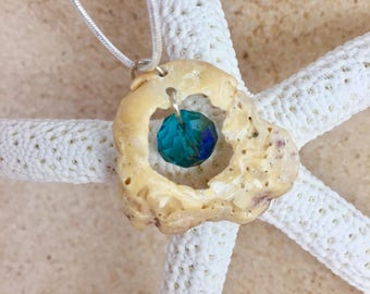 Sea shell jewelry | Etsy