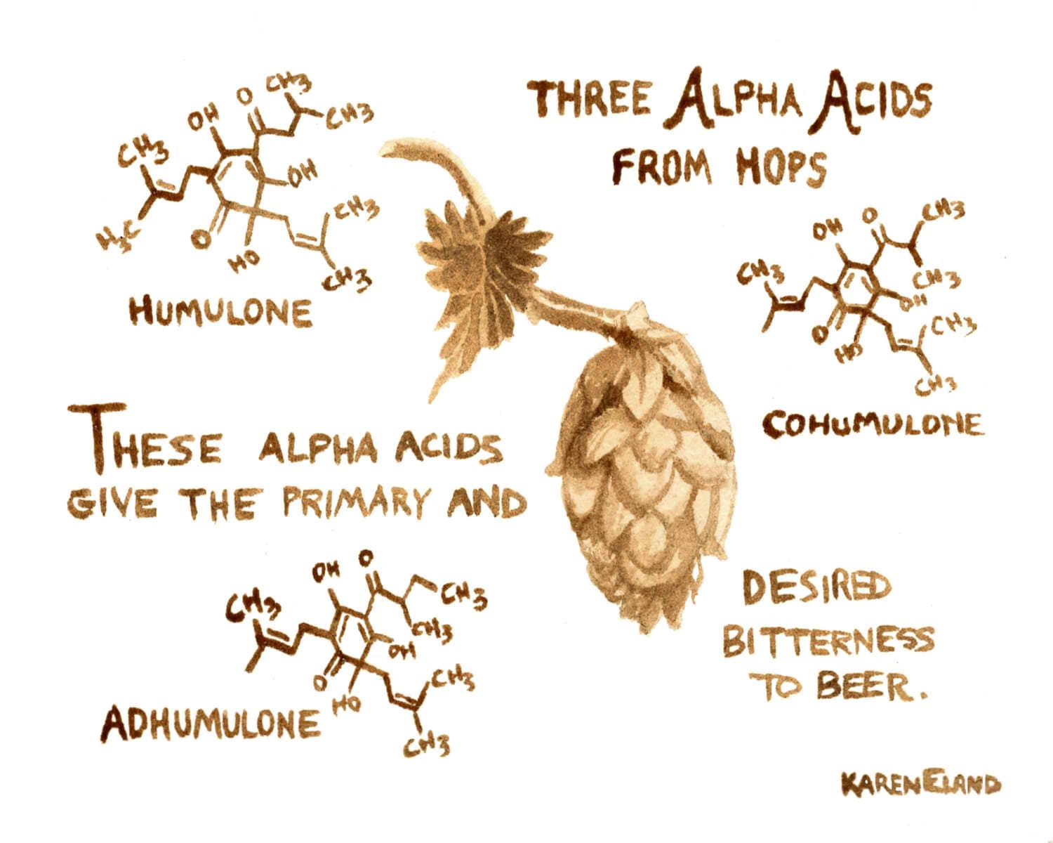 beer art Alpha Acids of Hops painted using beer chemistry