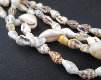 Gold Plated Sea Shell Natural Sea Shell Spiral Shell