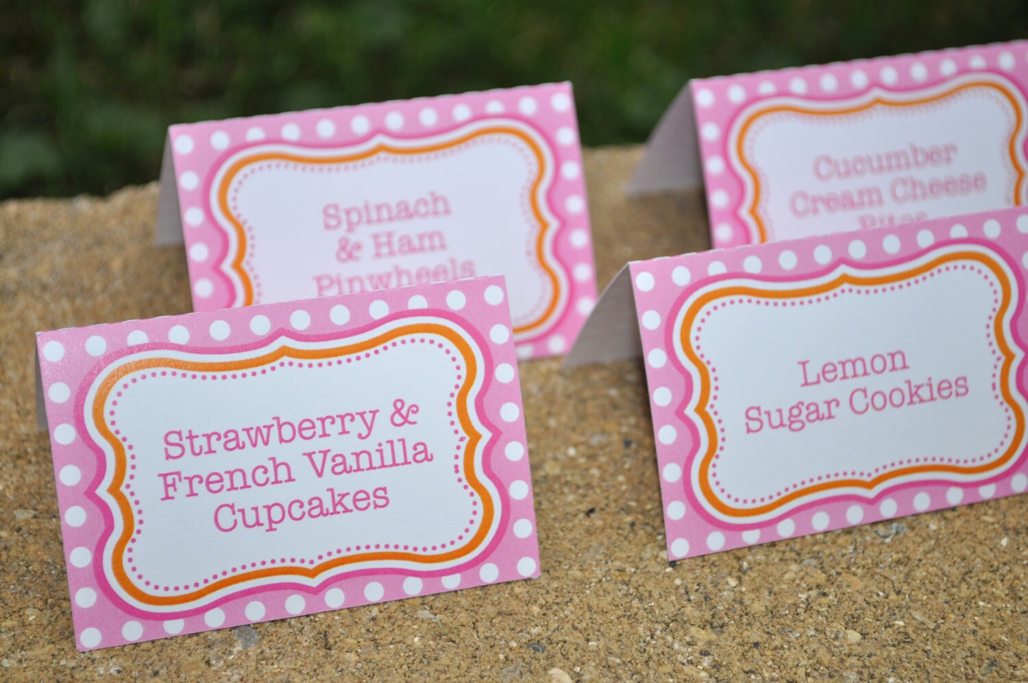 12 Food Labels Buffet Labels Candy Labels Girls 1st