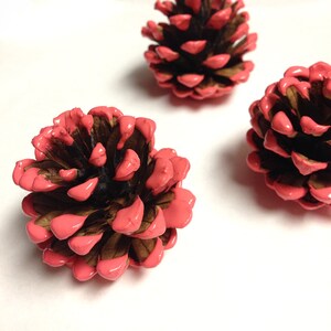 Painted pine cones | Etsy