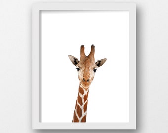 Baby animal art | Etsy