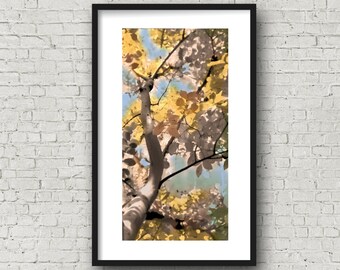 Blue Abstract Tree Art Surreal Tree Photo and Sunlight