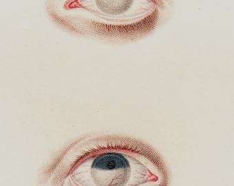 Vintage eye chart | Etsy