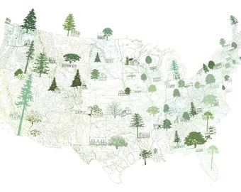 STATE FLOWERscape Map Drawing Art Print 50 State Flowers