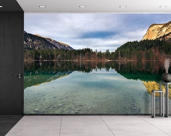 Removable wall mural | Etsy