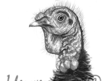 Wild turkey drawing | Etsy