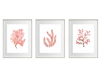 Coral artwork | Etsy
